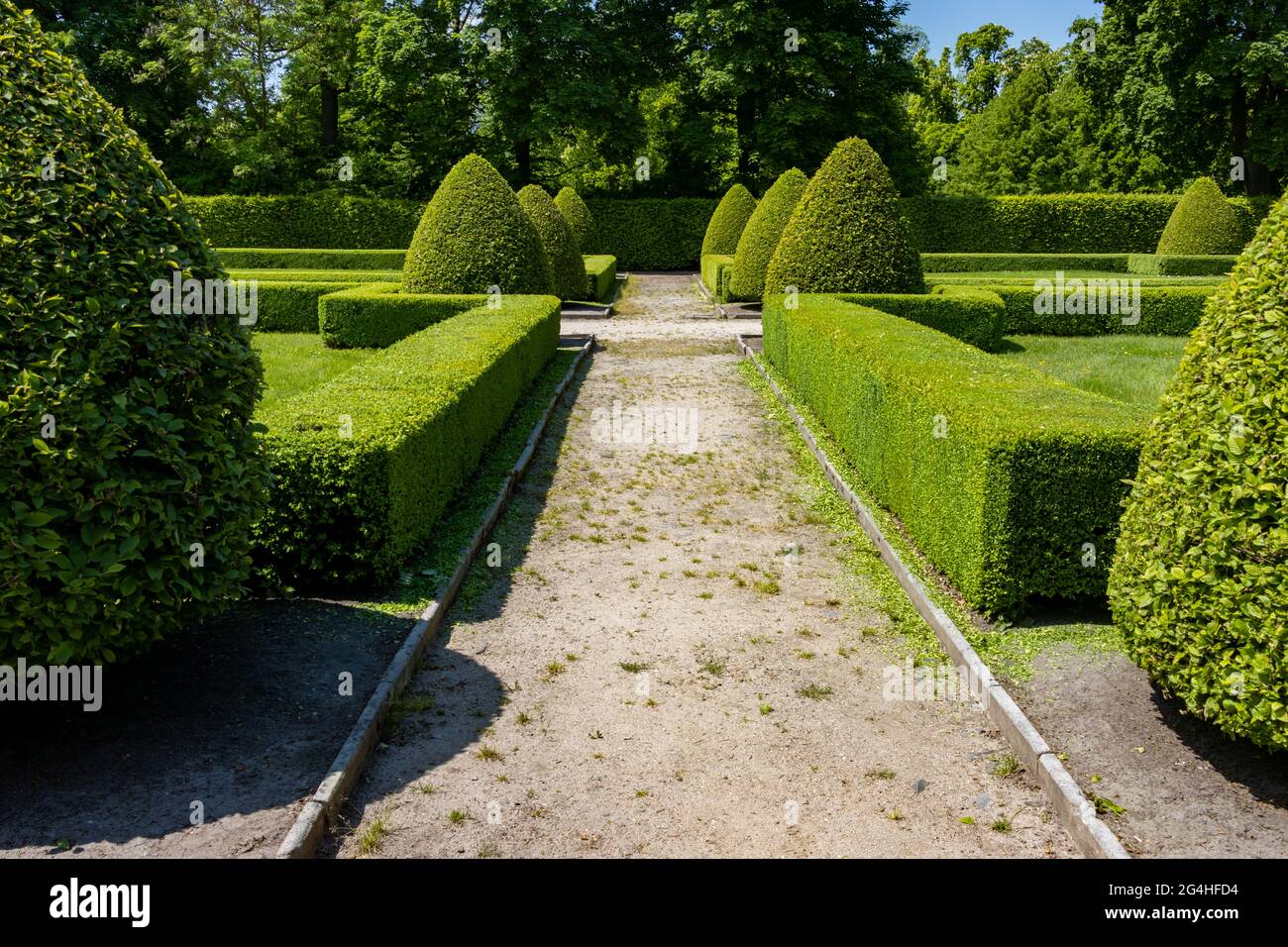 Path in the park with decorative trees and hedges Stock Photo - Alamy