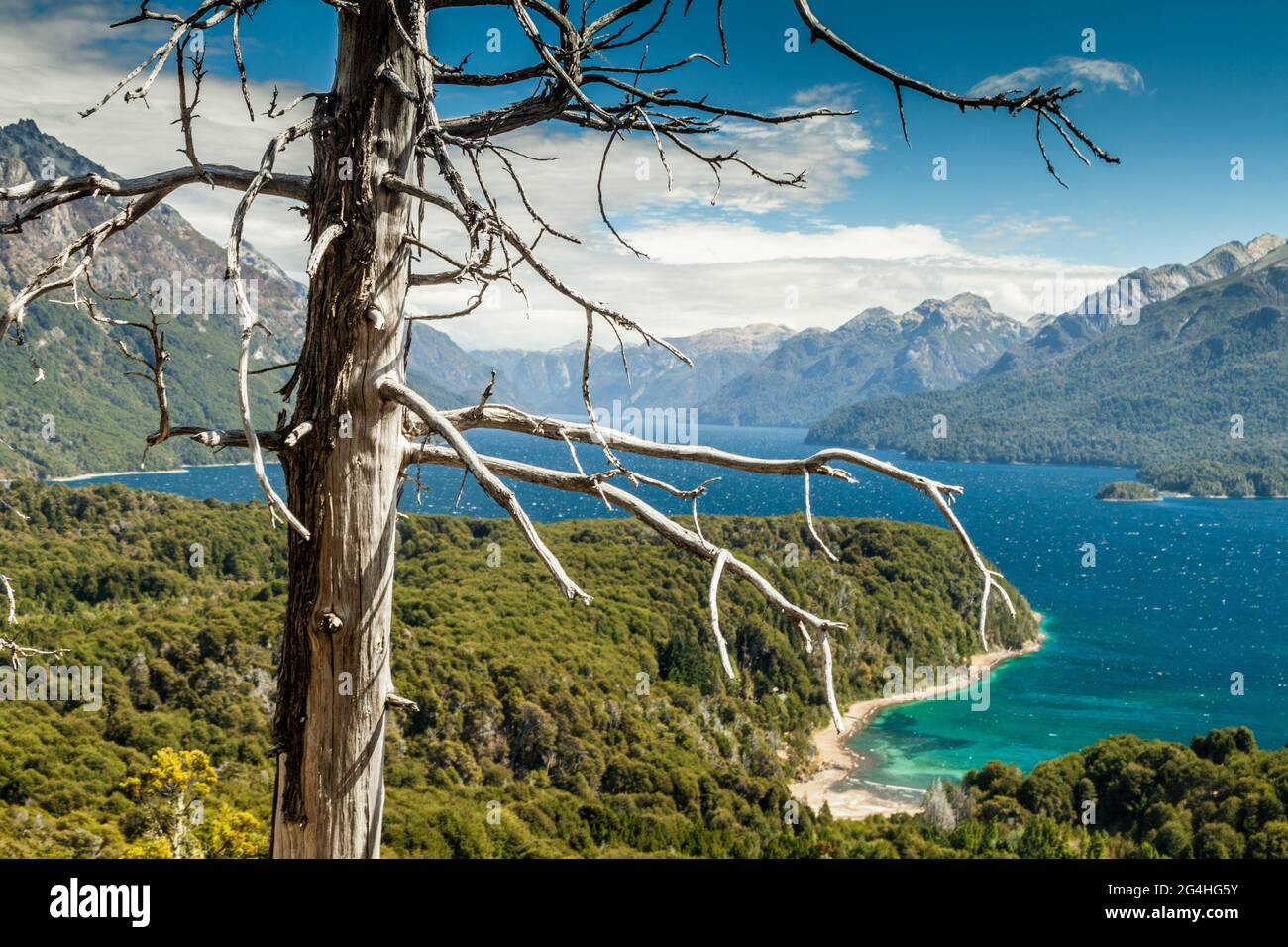 Nahuel huapi lake patagonia nature hi-res stock photography and images ...