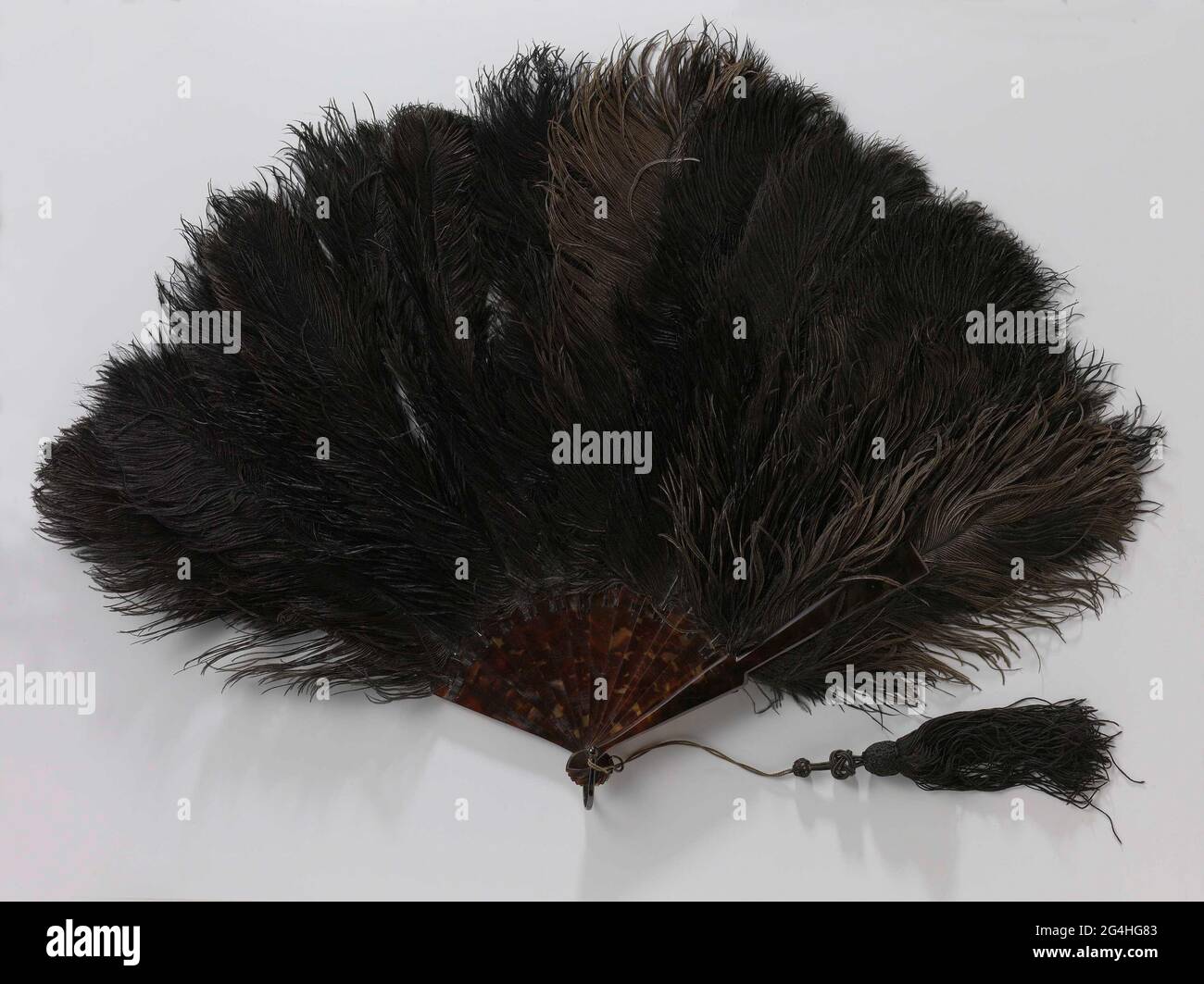 . Range with frame of an unforced turtle on which black ostriches ...