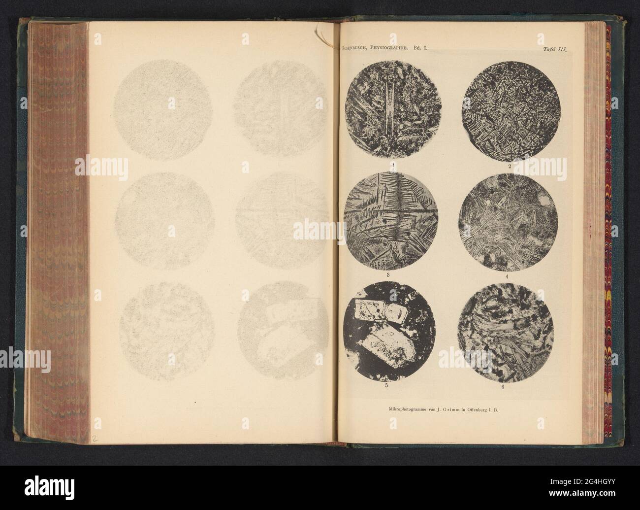 Six microscopic magnifications of minerals. Figure 1 is olivine in ...