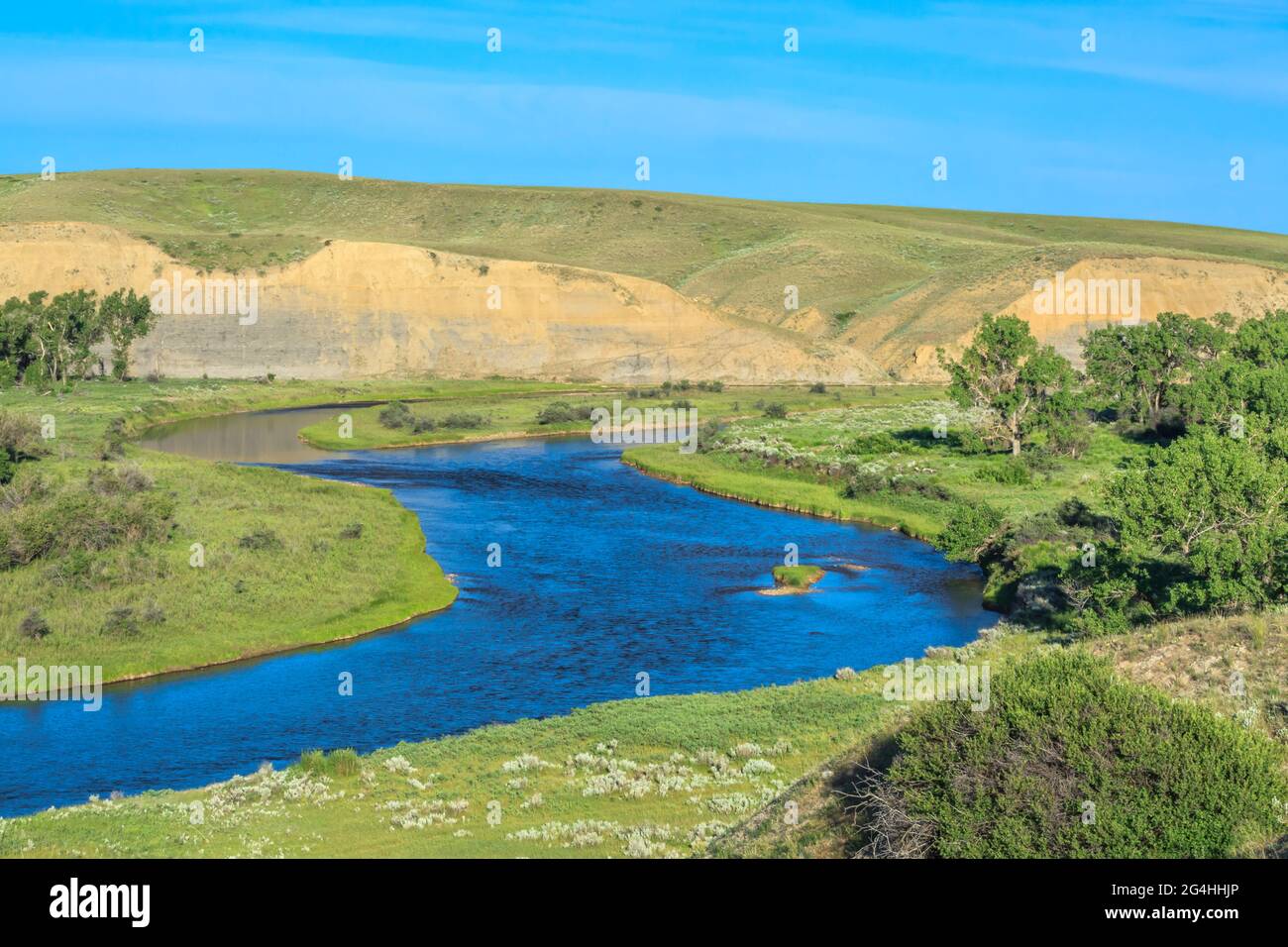 River habitat hi-res stock photography and images - Alamy