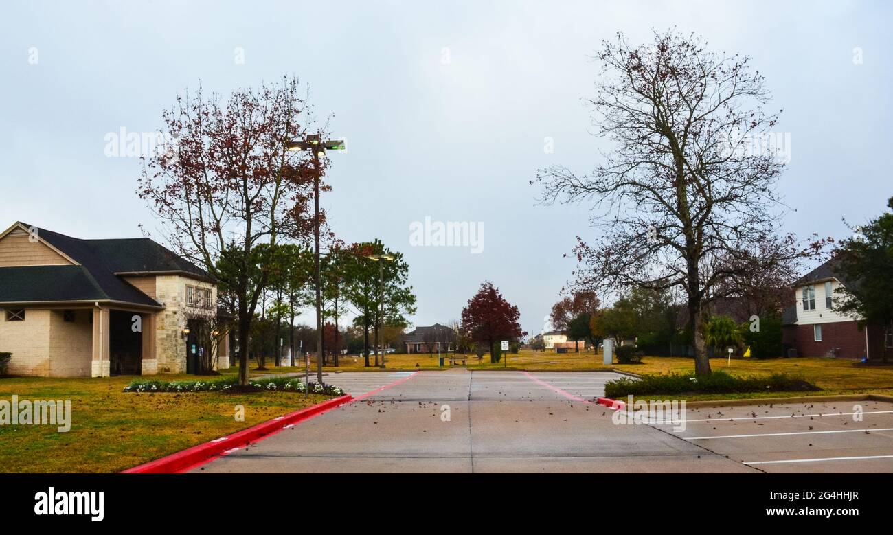 Early morning neighborhood walks after the rain. A suburban ...