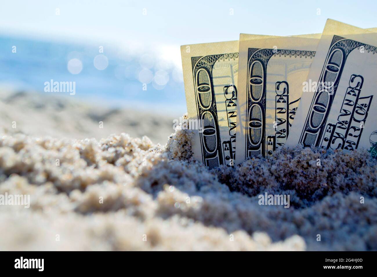 Three dollar bills are buried in sand on sandy beach near sea on sunny ...