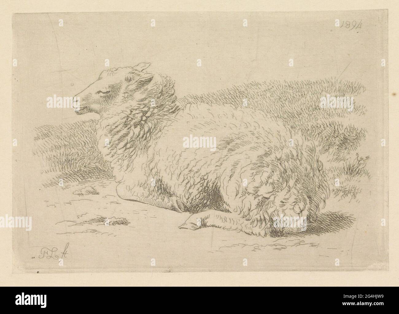 How To Draw A Sheep Lying Down