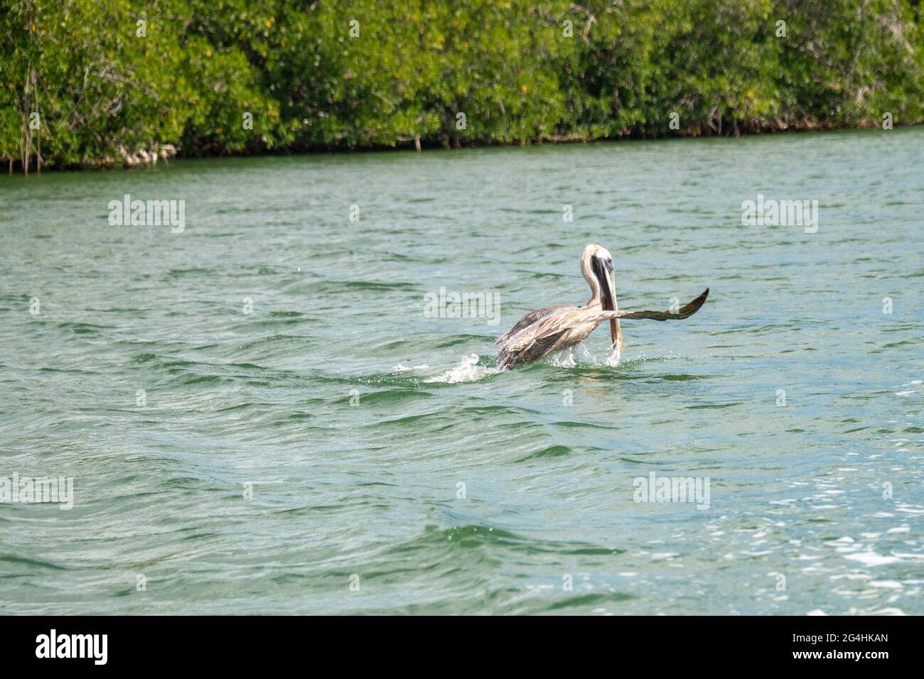 Zaza river hi-res stock photography and images - Alamy
