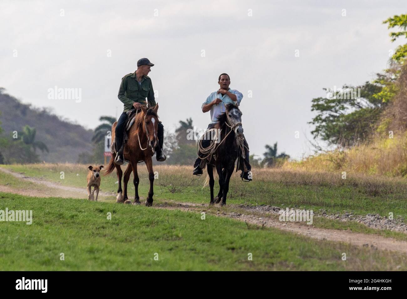Cuban men riding horses in rural area, Cuba Stock Photo - Alamy