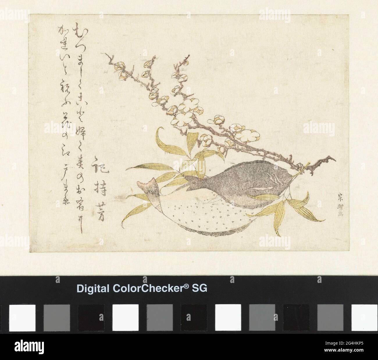 . A still life of two flat fish and a branch of the plum blossom. With ...