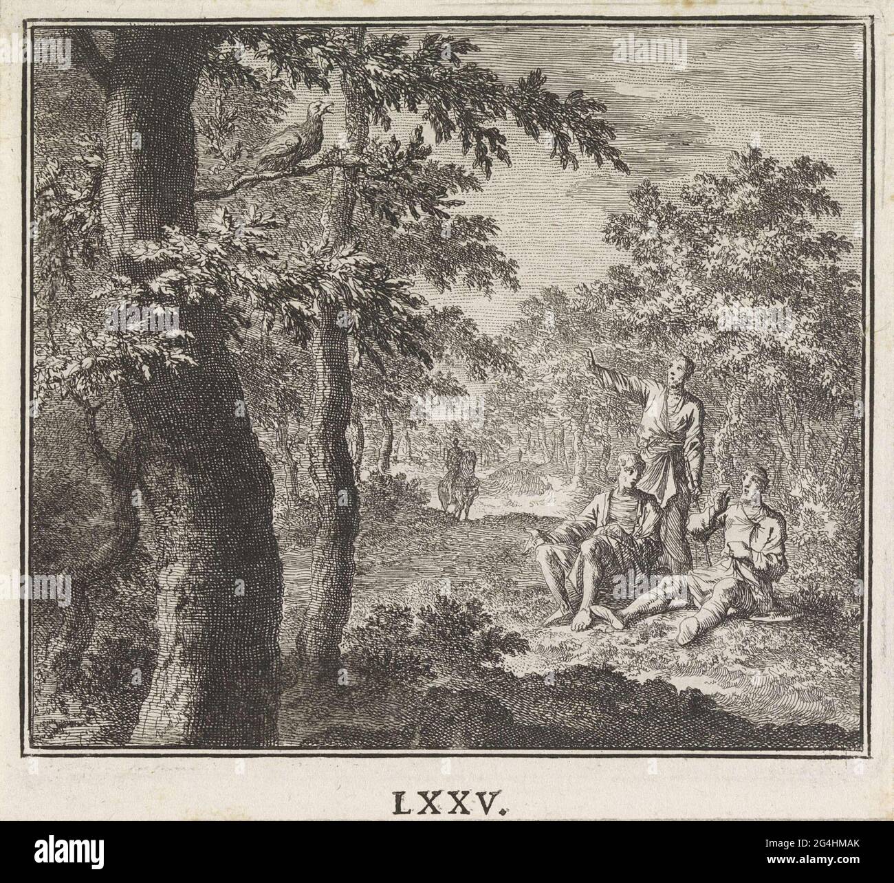 . A forest landscape. In the foreground a nightingale sings into a tree ...