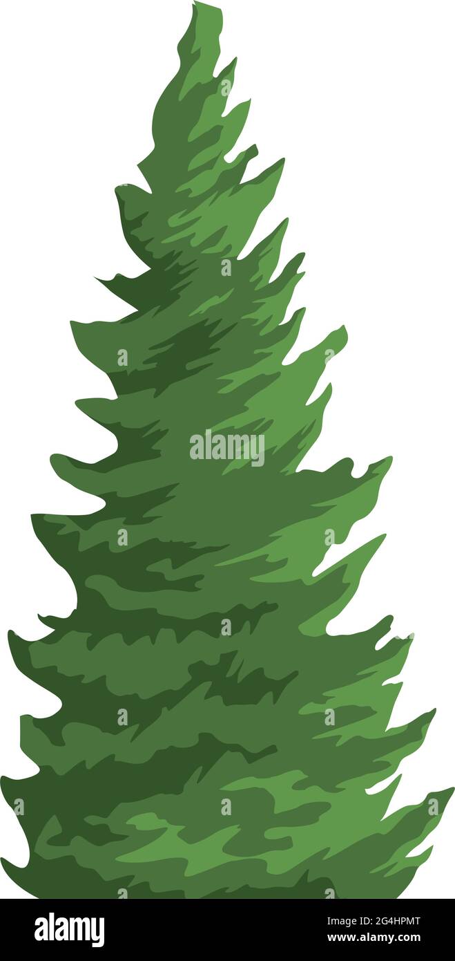 green pine tree Stock Vector Image & Art - Alamy
