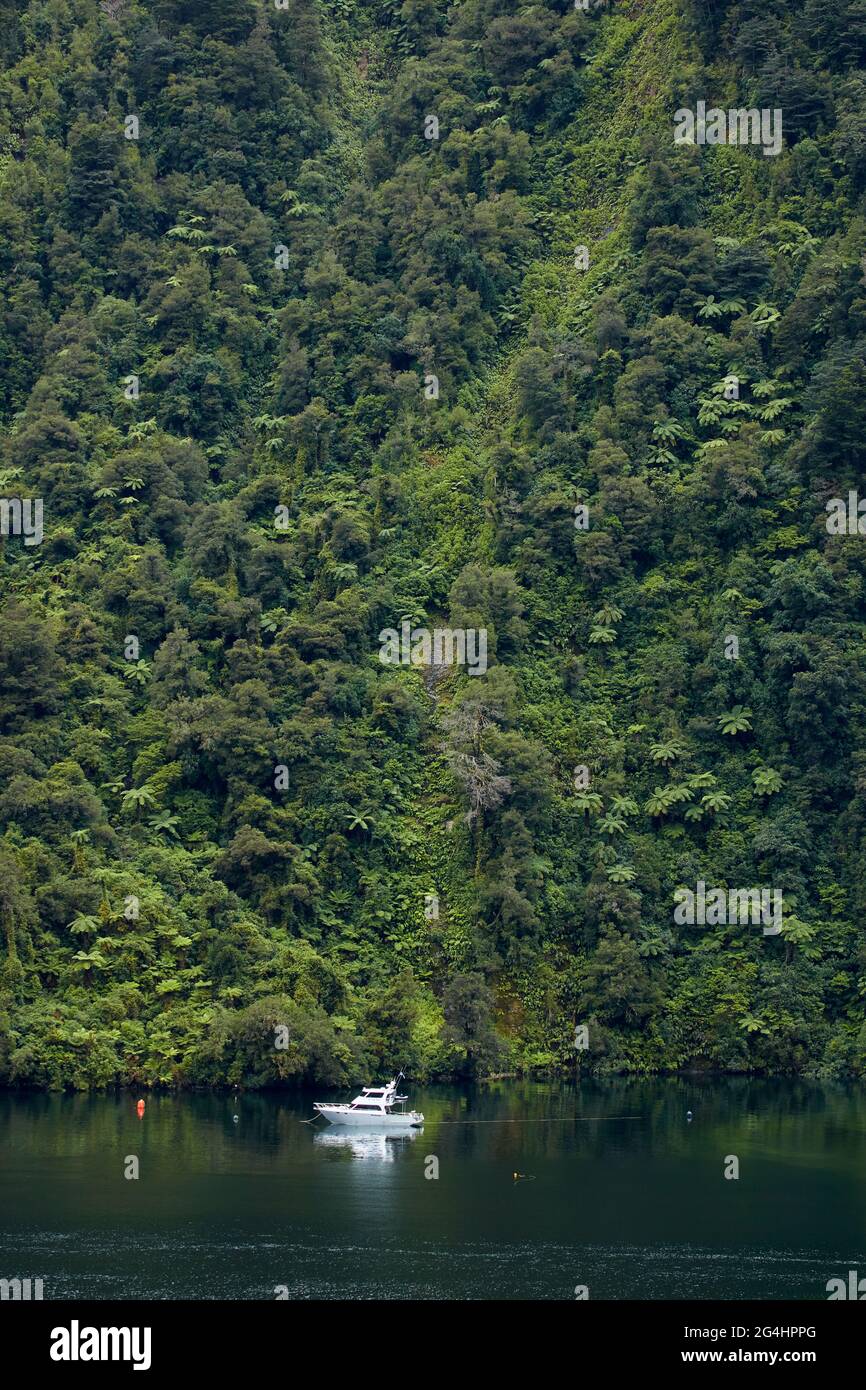Deep water cove new zealand hi-res stock photography and images - Alamy