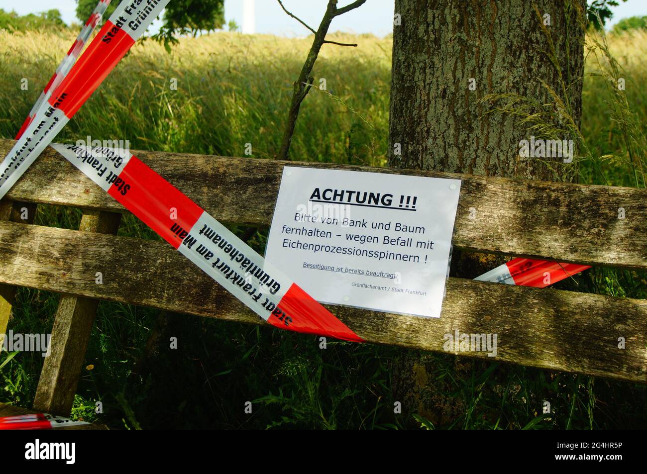 Oak processionary moth warning sign hi-res stock photography and images ...