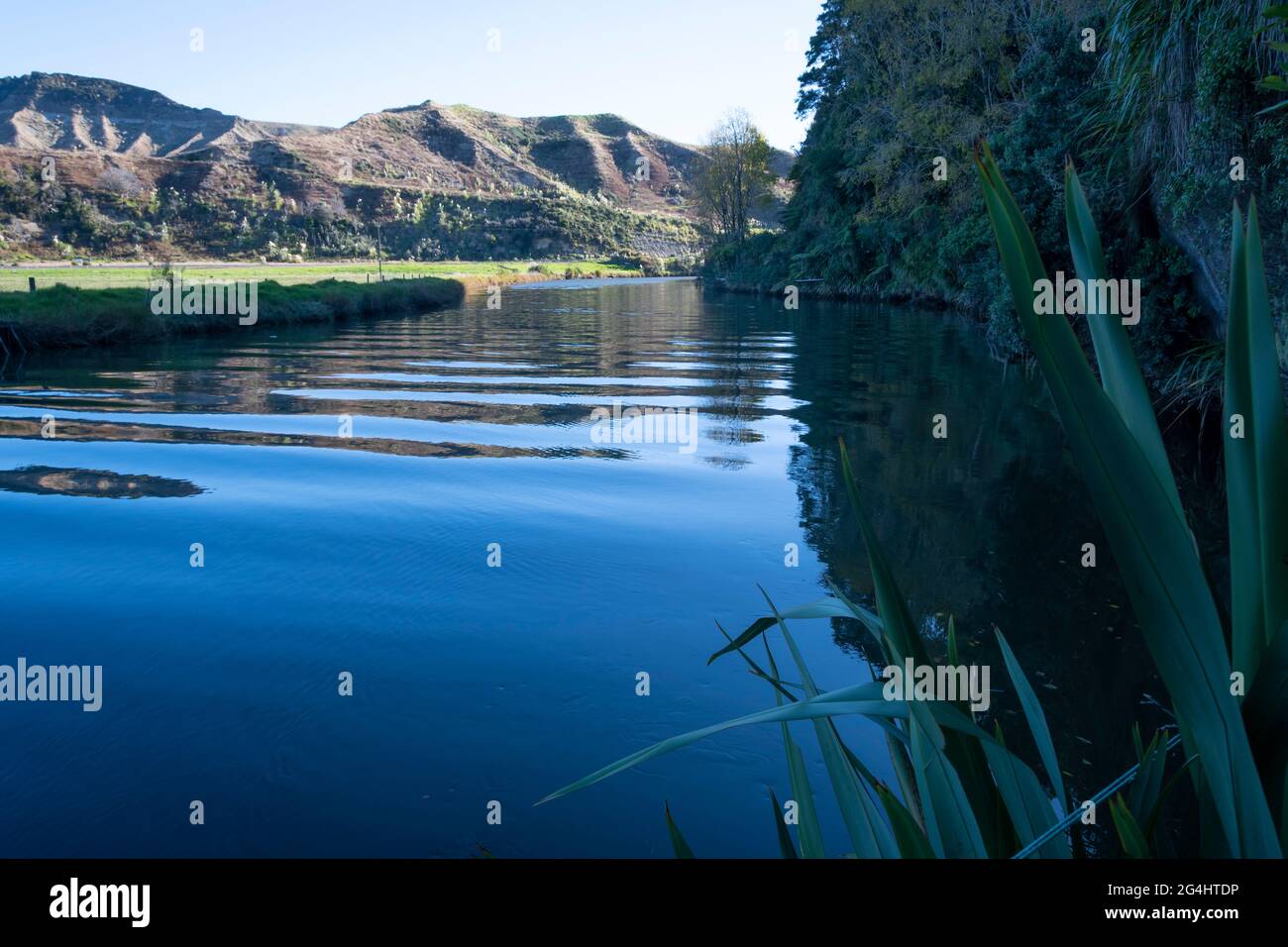 Awakino New Zealand High Resolution Stock Photography and Images - Alamy