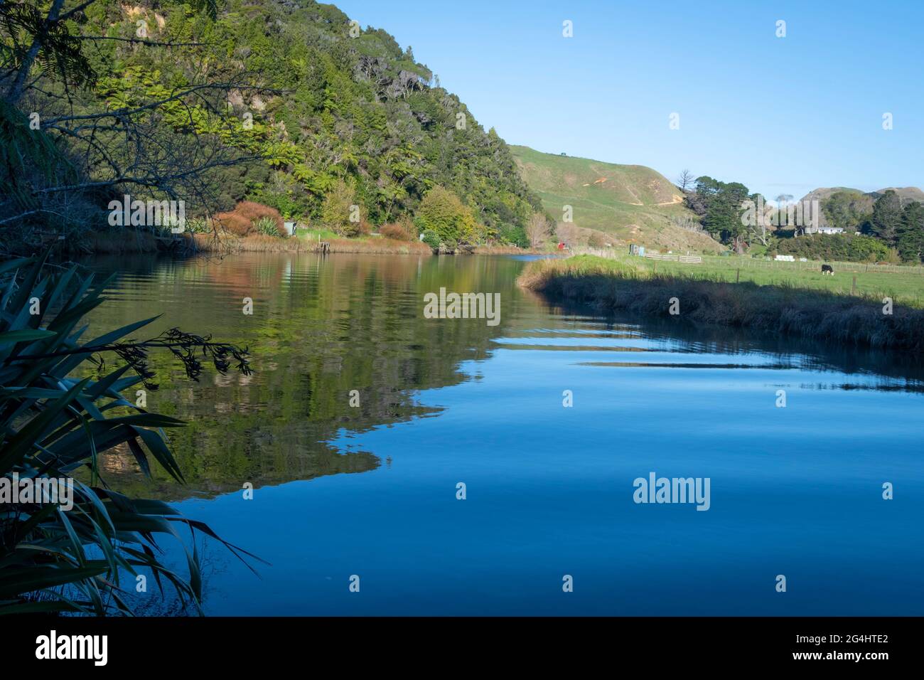Awakino river hi-res stock photography and images - Alamy