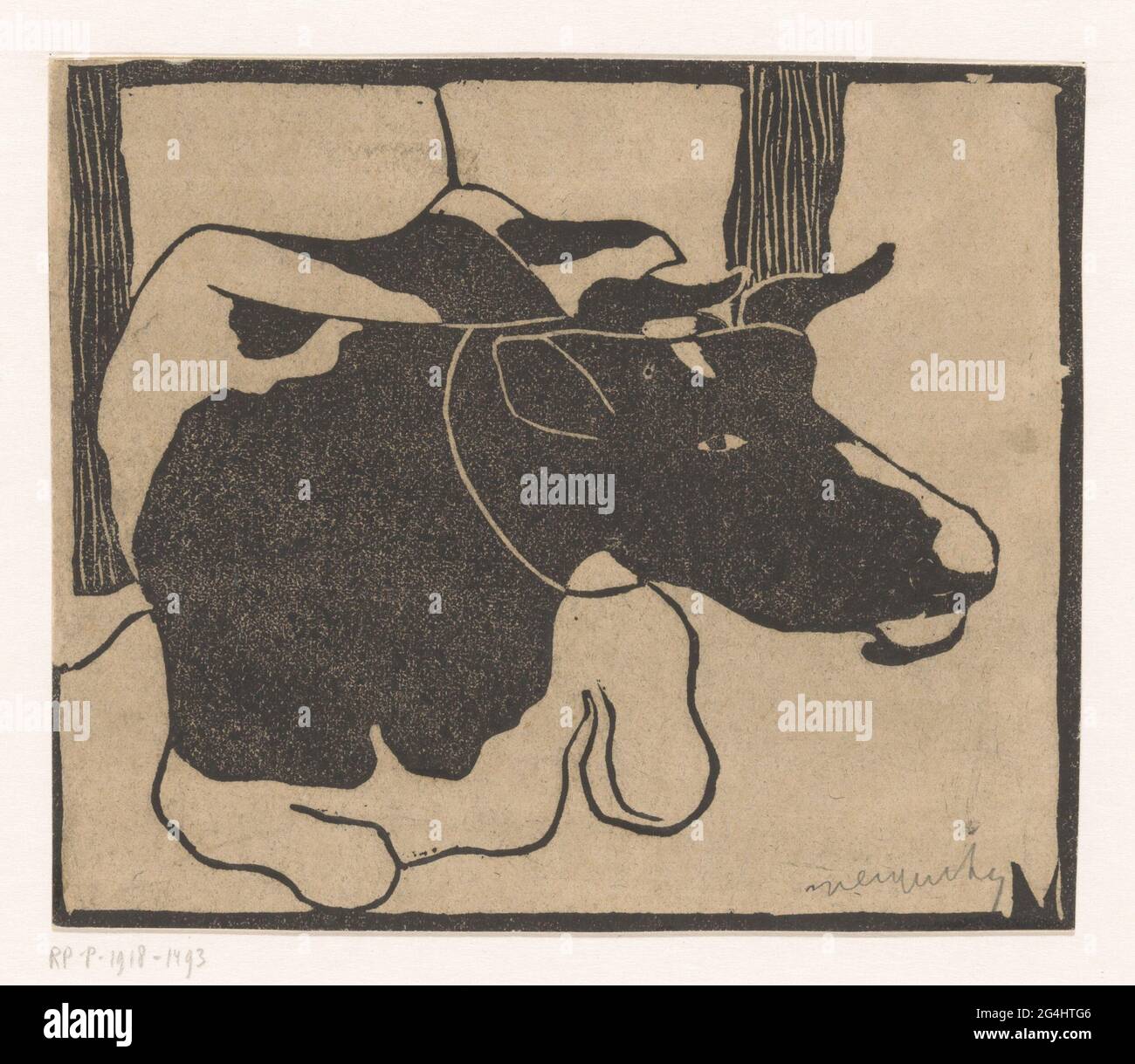 Lying cow (body of the front, head to side). Lying cow (body of the ...