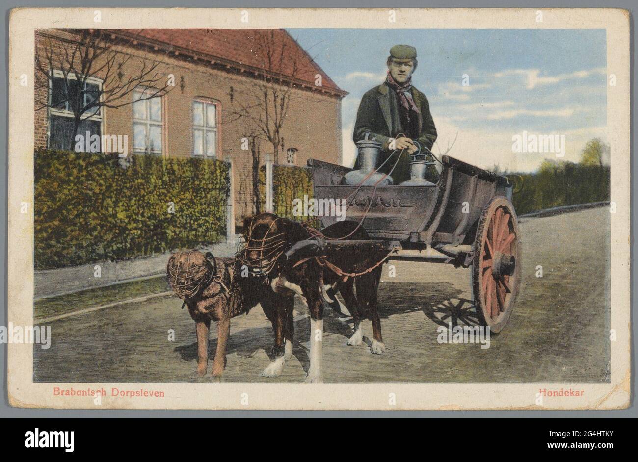 Brabantsche Boer with Hondekar Stock Photo - Alamy