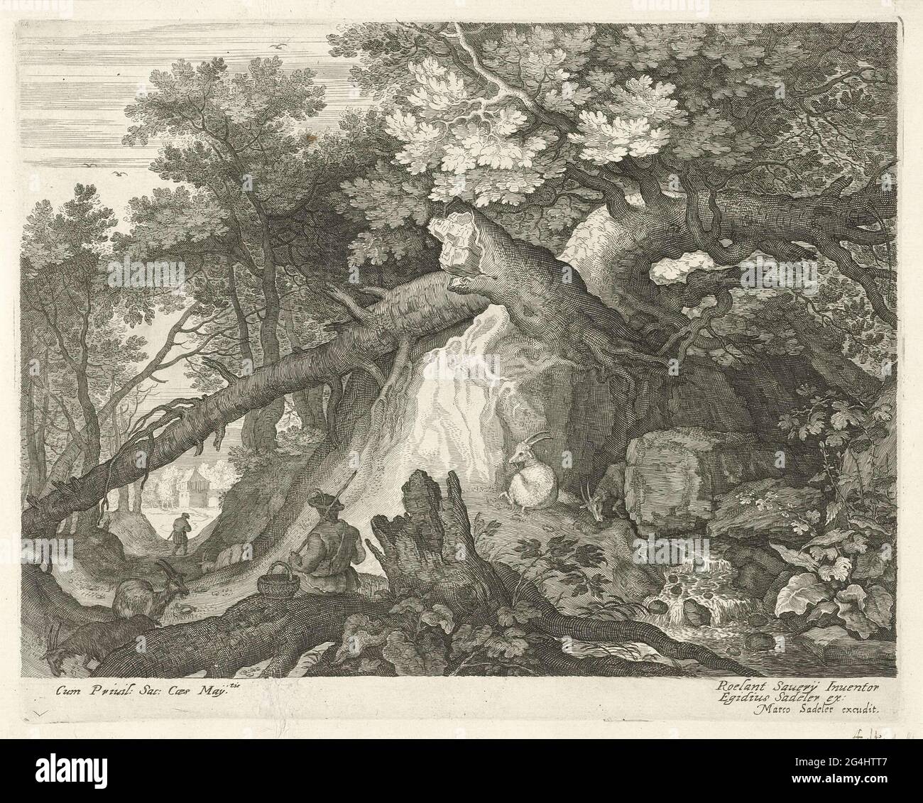 Fallen tree six landscapes hi-res stock photography and images - Alamy