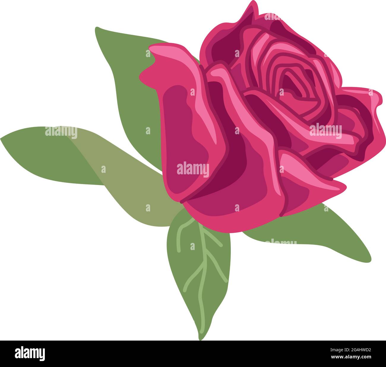 Red rose plants Stock Vector Images - Alamy