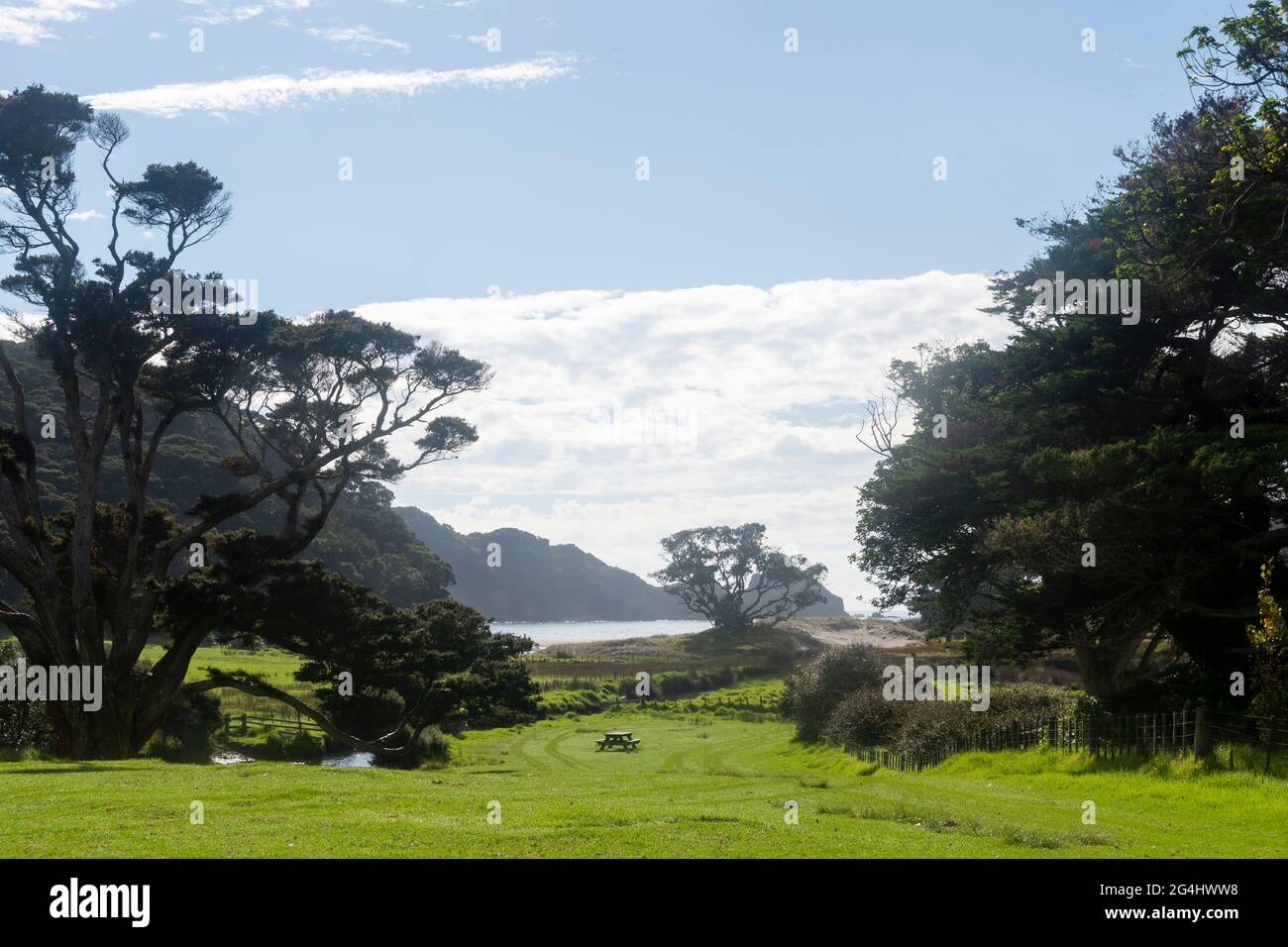 Harataonga Beach campsite, Overtons Bay Great Barrier Island, Hauraki ...