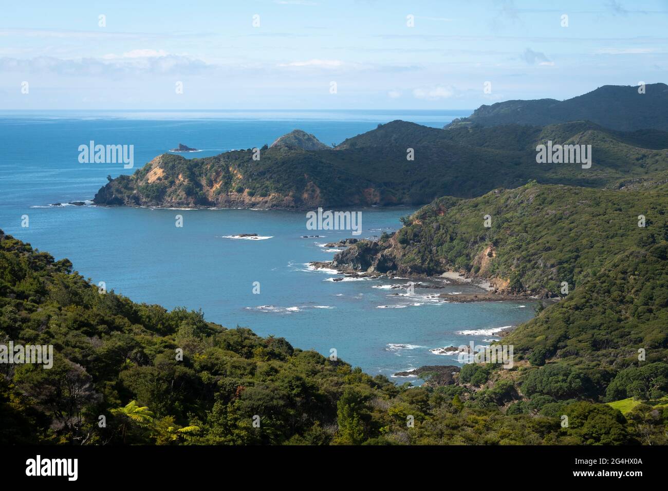 Headlands and bays, Waipapa Bay and Whangawahia Bay, Harataonga Walkway ...
