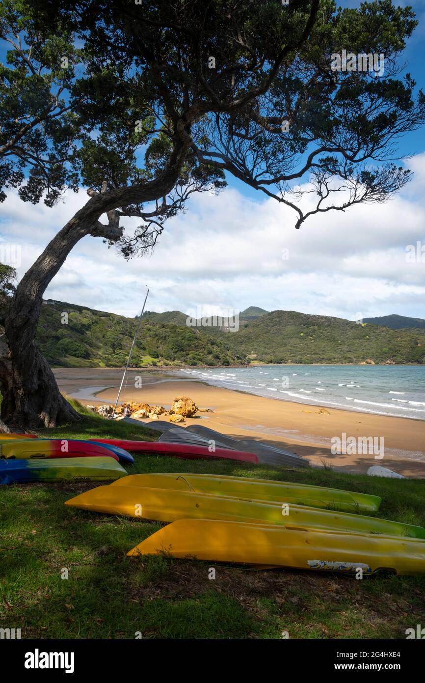 Okupu beach, Blind Bay, Great Barrier Island, Hauraki Gulf, New Zealand ...