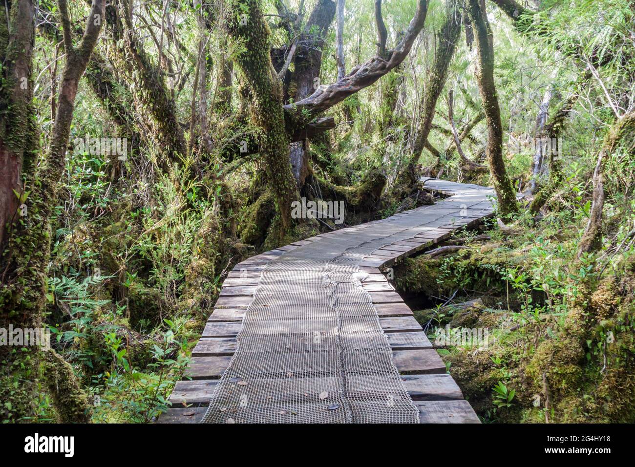 Discover chile hi-res stock photography and images - Alamy