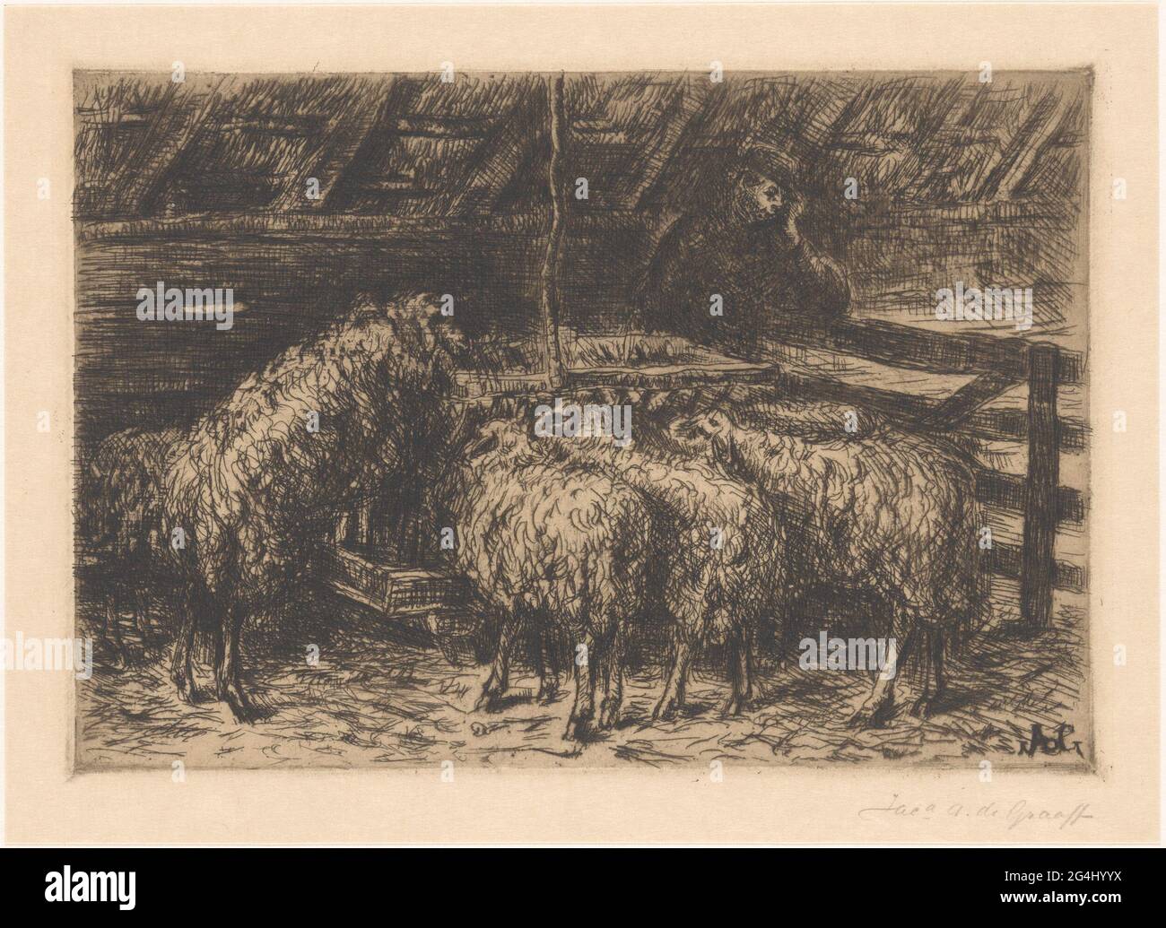 Sheep and a shepherd in a stable Stock Photo - Alamy