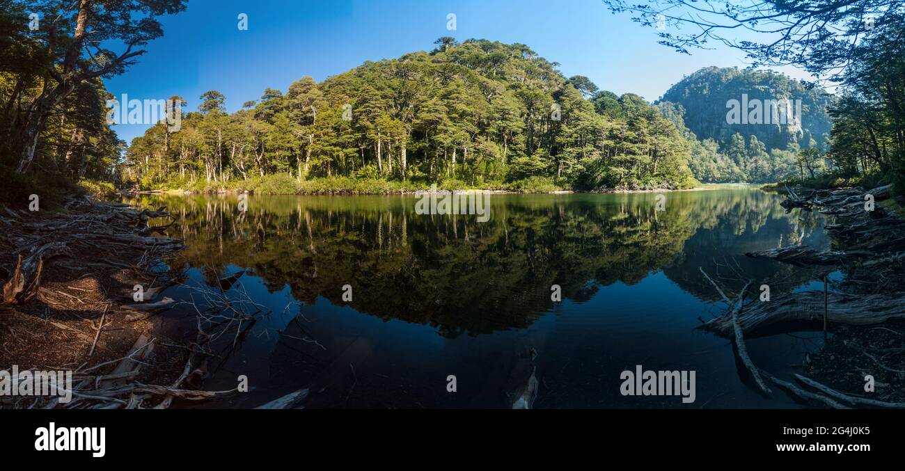 Lago Chico lake in National Park Huerquehue, Chile Stock Photo - Alamy