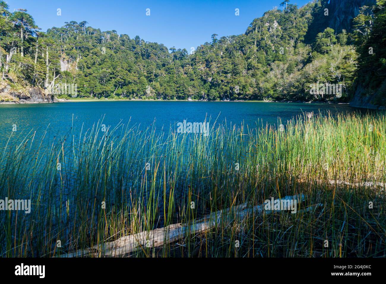 Lago verde chile hi-res stock photography and images - Alamy