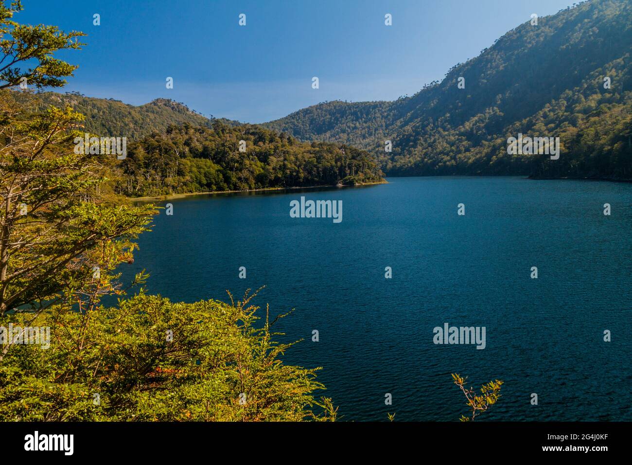 Lago Verde lake in National Park Huerquehue, Chile Stock Photo - Alamy