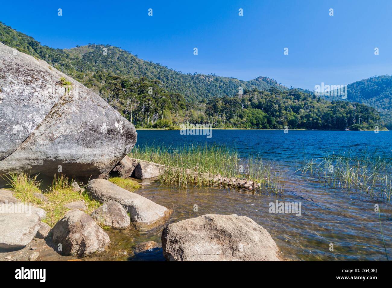 Lago verde chile hi-res stock photography and images - Alamy