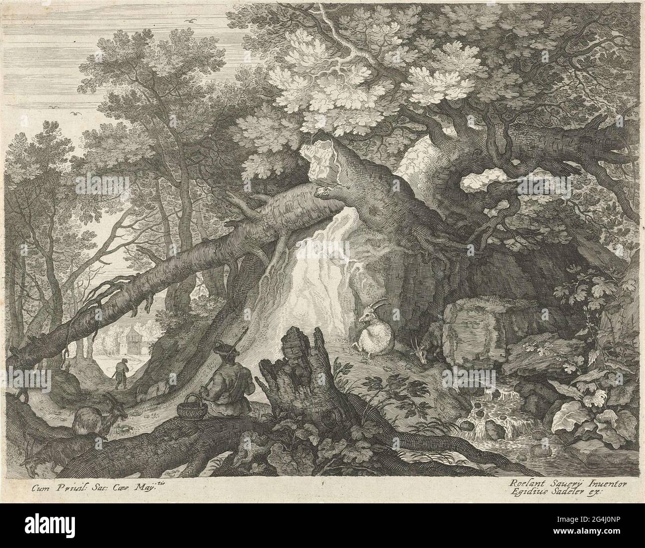 . Forest landscape with fallen tree and waterfall. In the foreground a ...