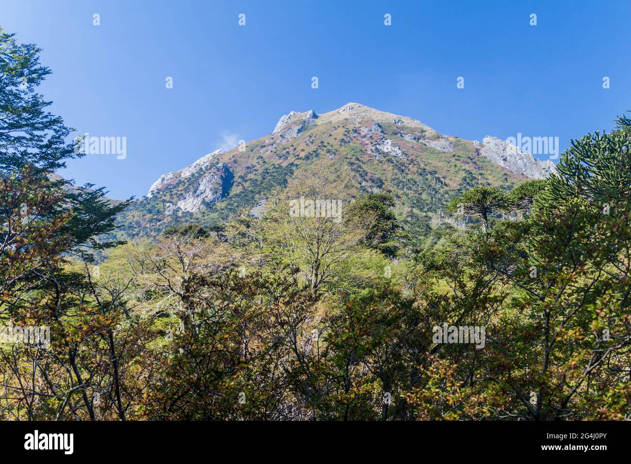 Countryside of national park Huerquehue, Chile Stock Photo - Alamy