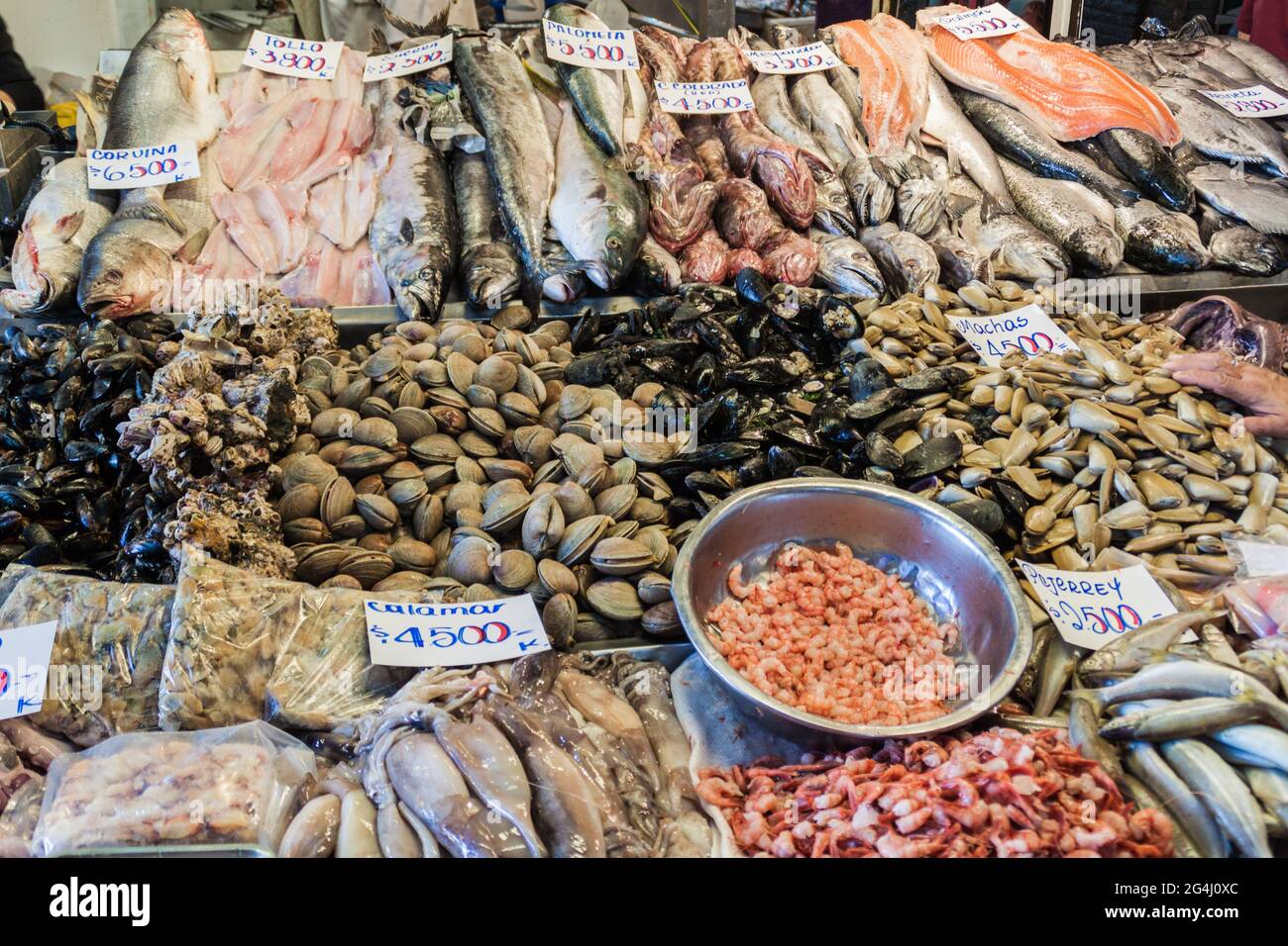 Fresh fish and seafood on Mercado Central market in the center of ...