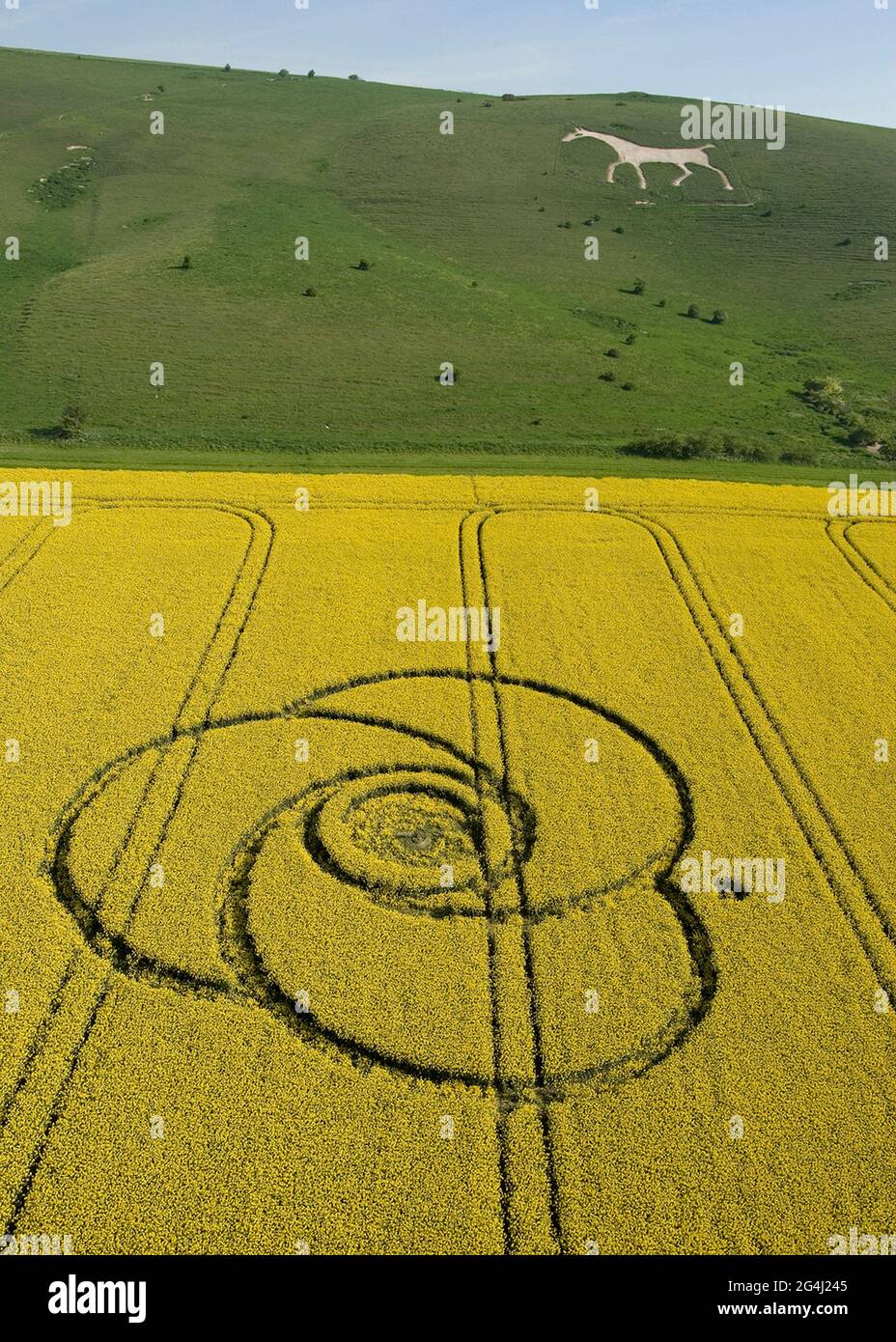 The first major crop circles of 2008 have appeared close to the ancient ...