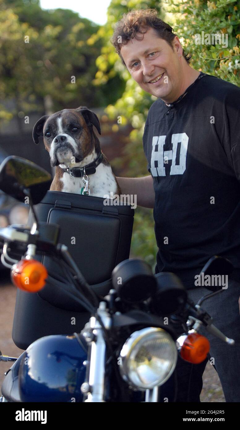 BOXER DOG SLOBBER TAKES TO THE ROAD FOR A SPIN ON THE BACK OF OWNER ...