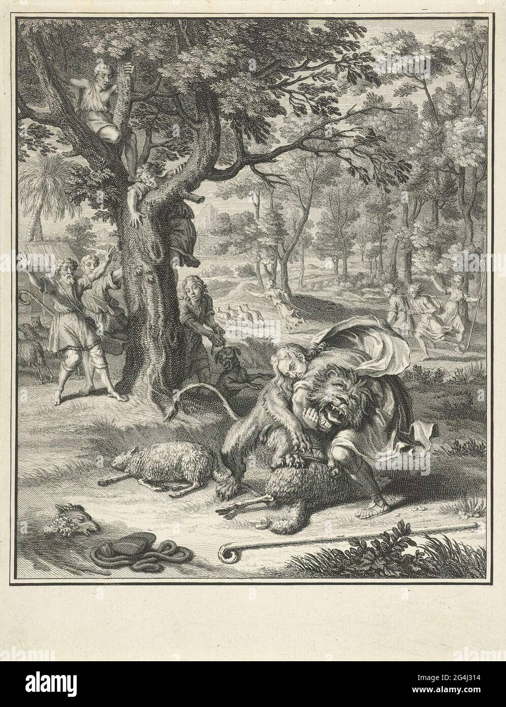 . Telemachus kills the lion who has just devoured some sheep from his ...