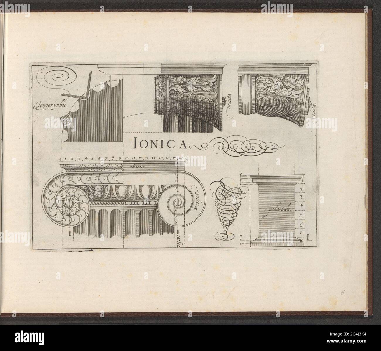 Ionic capital and pie stable; Ionica; Architectura. Ionian capital and ...