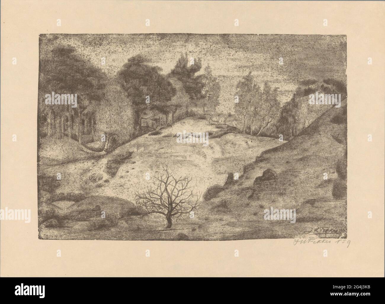 Heide at Laren. A heathland landscape with trees and shrubs at the ...