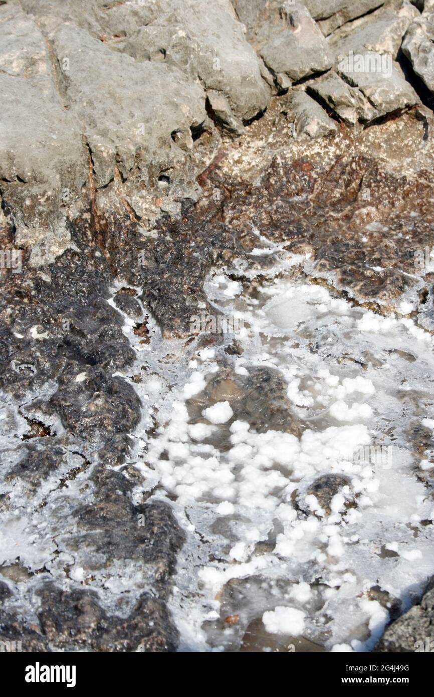 Deposits of pure sea salt on the rocks Stock Photo - Alamy