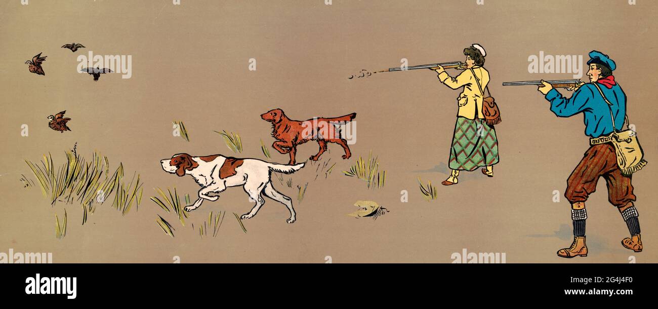 Quail Shooting, circa 1900 Stock Photo - Alamy