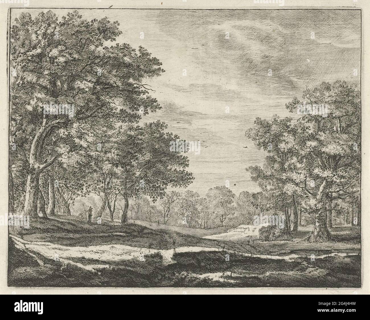 . View of a glade in the Haagse Bos, with a walker on the left Stock ...