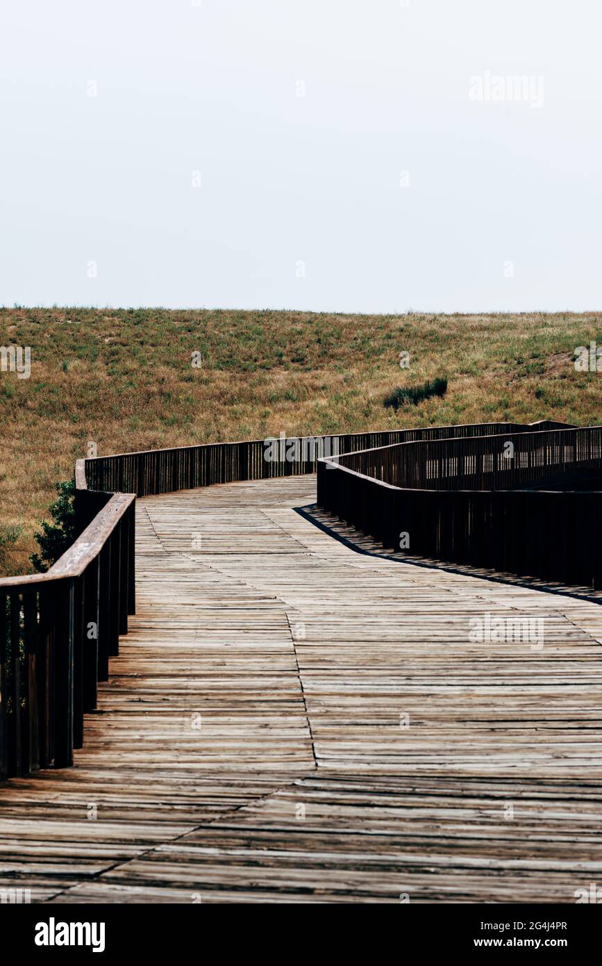 Vertical shot of boardwalk bridge leading into the distance Stock Photo ...