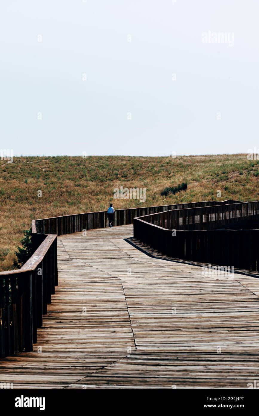 Vertical shot of boardwalk bridge leading into the distance Stock Photo ...