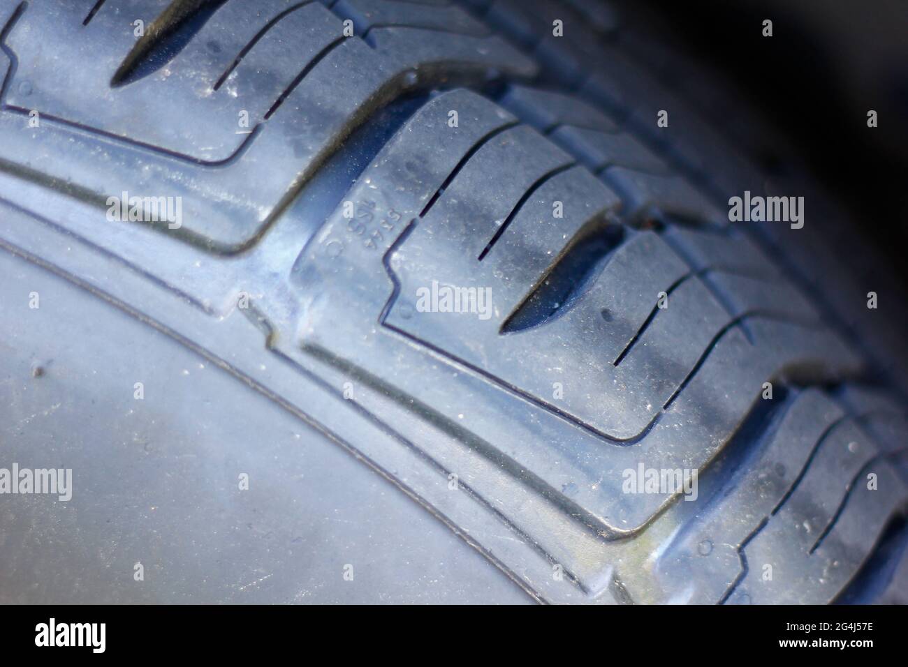Closeup View of a Tree with Treads Stock Photo - Alamy