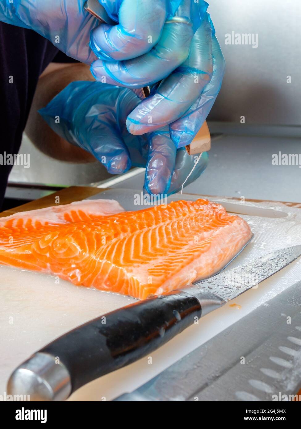 The cook removes the bones from the salmon fillet with a special ...