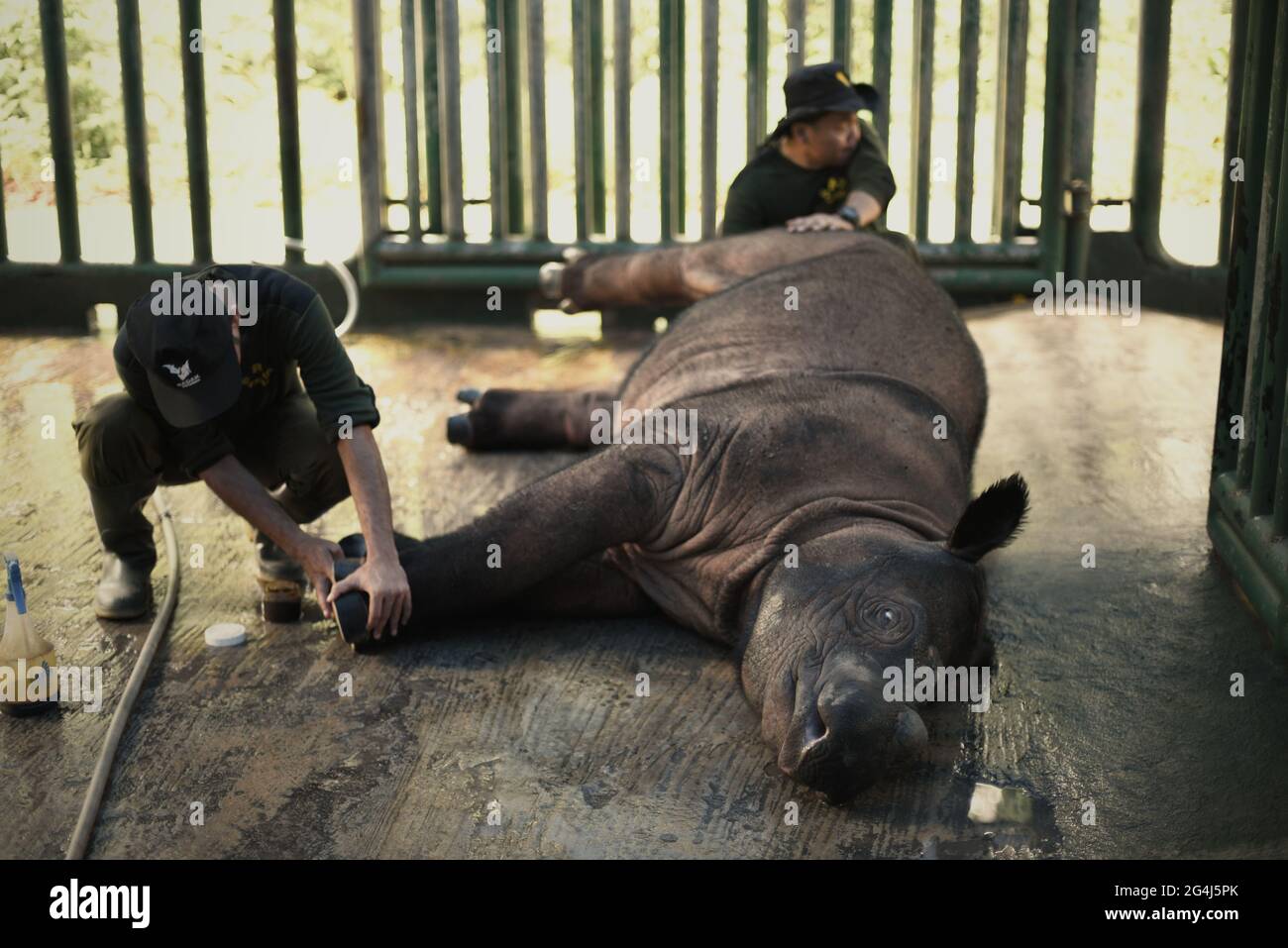 Rhino health facility hi-res stock photography and images - Alamy