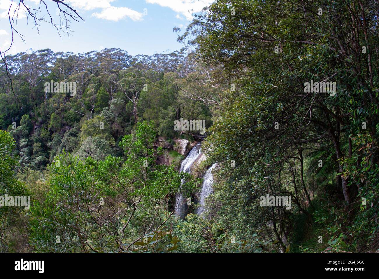 Twin Falls, Twin Falls Circuit, Springbrook National Park Stock Photo ...