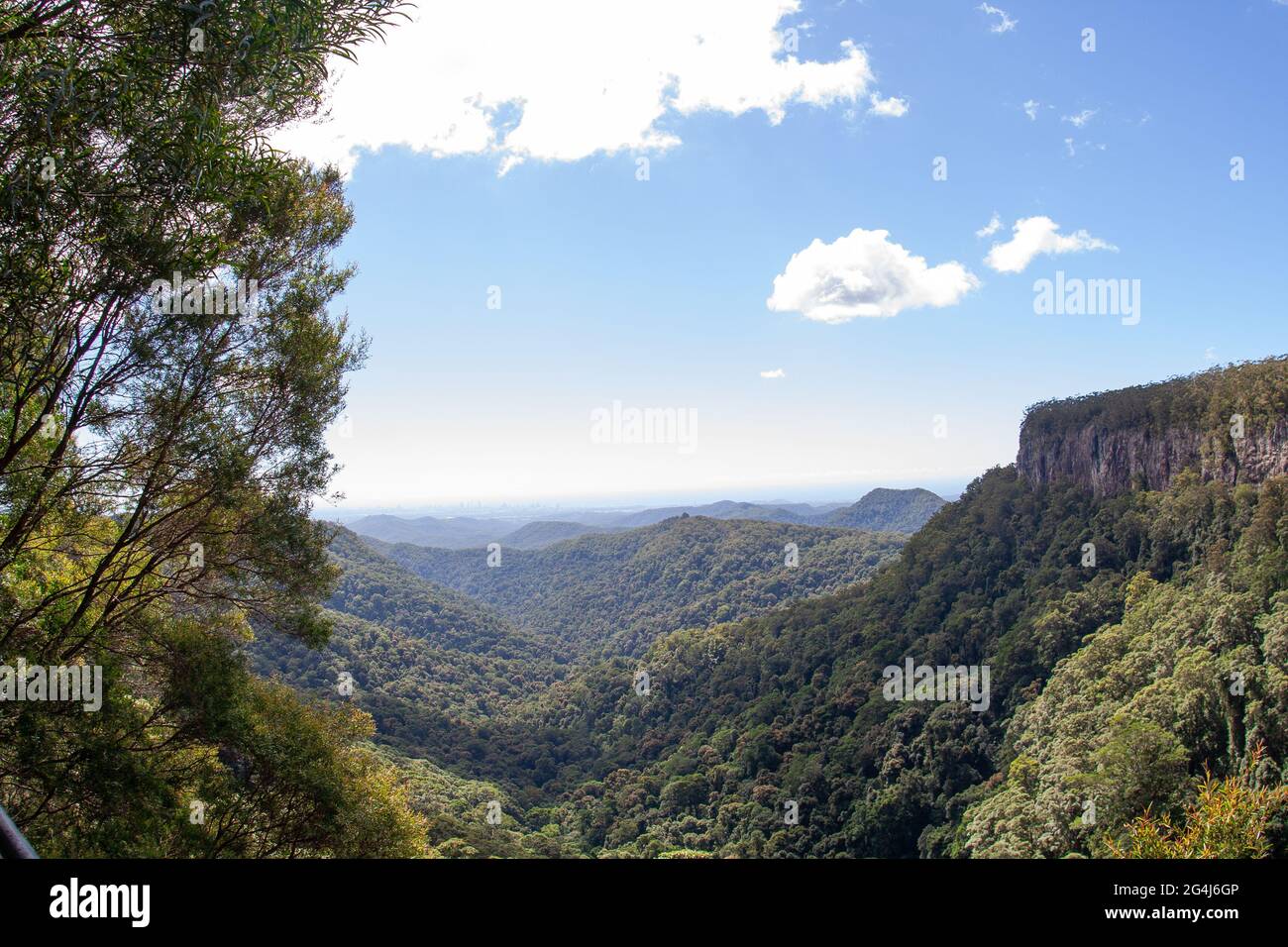 Canyon Falls Lookout, Twin Falls Circuit, Springbrook National Park ...