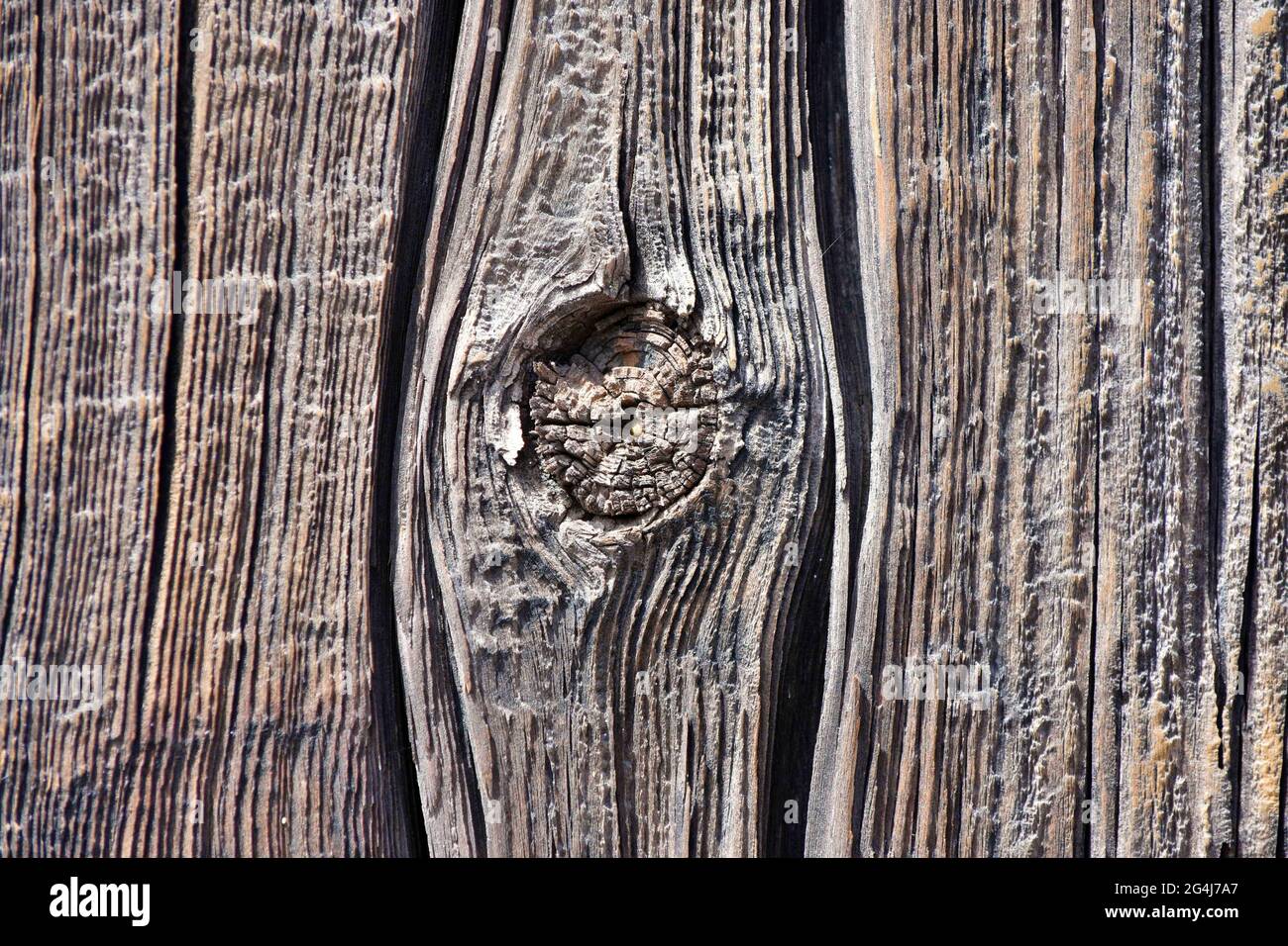 Old wood plank with a knot in the center Stock Photo - Alamy