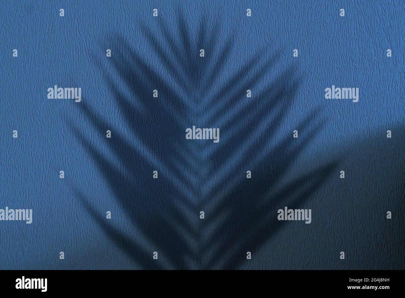 Dark shadows trees wall hi-res stock photography and images - Alamy